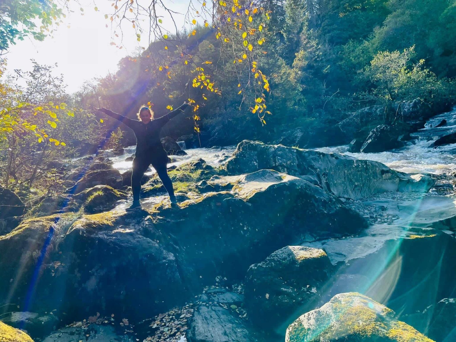 Hermitage and Falls of Braan Circular Hike Route and Review