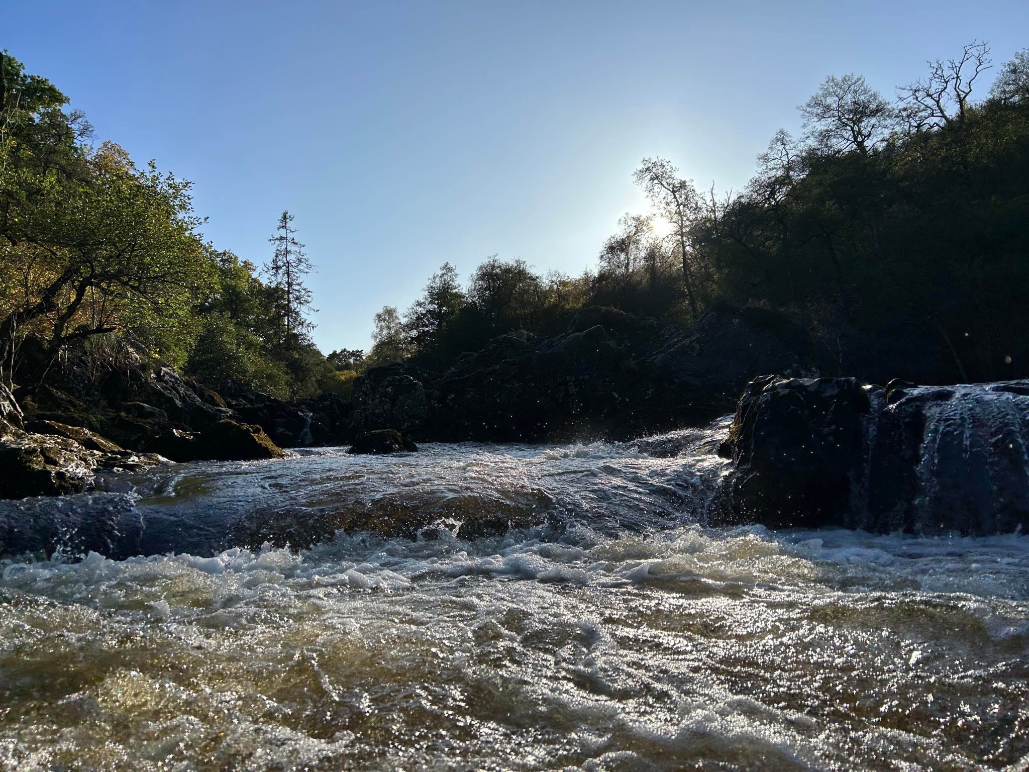 Hermitage and Falls of Braan Circular Hike Route and Review